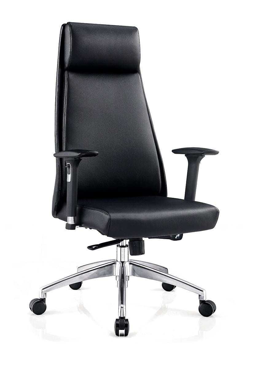 Executive Office Chairs - Sylex Ergonomics